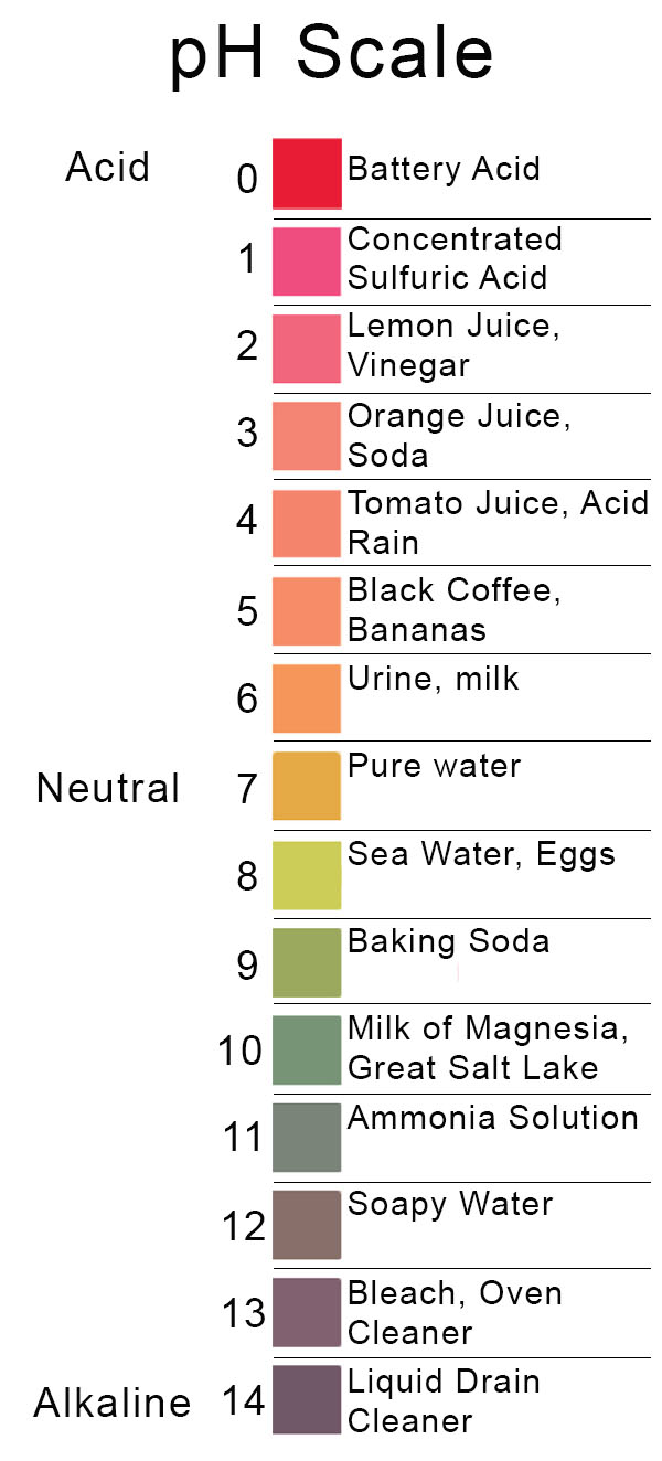 Ph Scale Horizontal